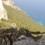 Guided hike to Cala Mariolu - What Does the Itinerary Actually Mean for Travelers?