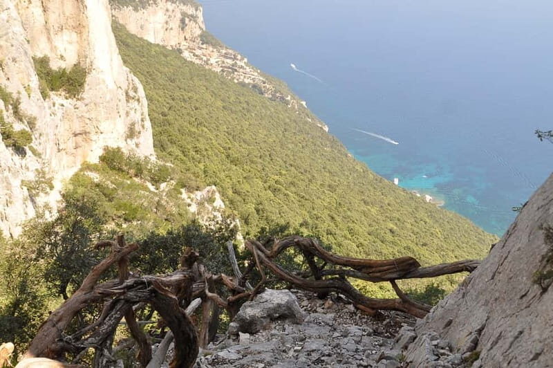 Guided hike to Cala Mariolu - What Does the Itinerary Actually Mean for Travelers?
