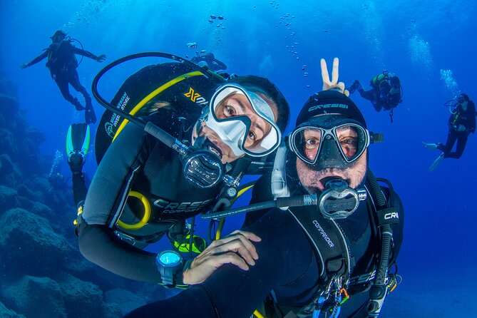 Guided Immersion from Santa Cruz de Tenerife - Key Points