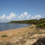 Guided kayak tour inside the Stagnone of Marsala - The Sum Up: Who Should Sign Up?