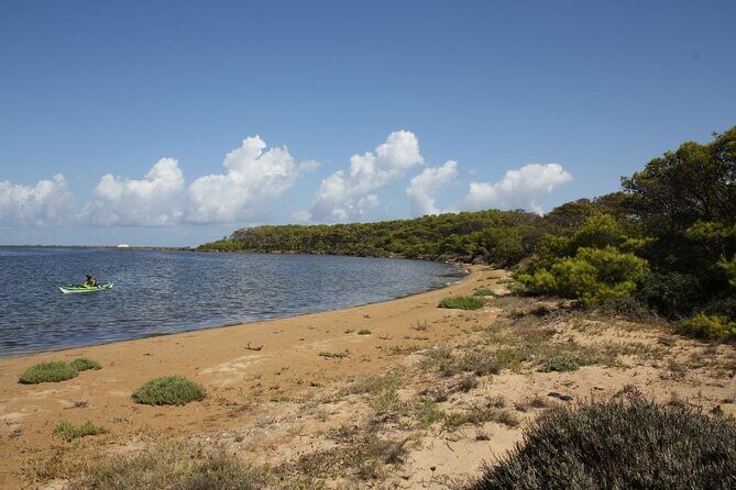 Guided kayak tour inside the Stagnone of Marsala - The Sum Up: Who Should Sign Up?