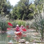 Guided Kayak trip to discover Endine Lake - What to Expect on the Tour