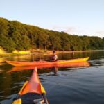 Guided kayaking on Roskilde Fjord: Private tour - The Itinerary: What to Expect on the Water