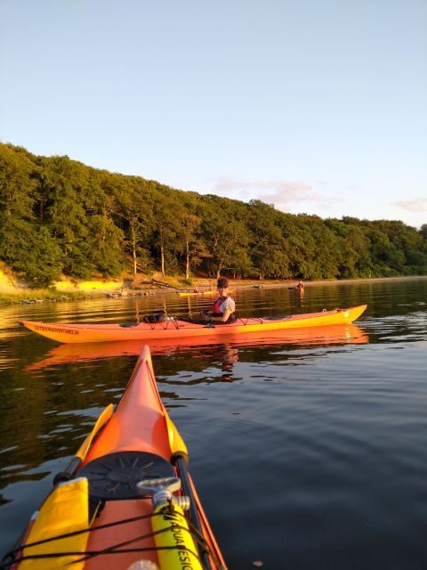 Guided kayaking on Roskilde Fjord: Private tour - The Itinerary: What to Expect on the Water