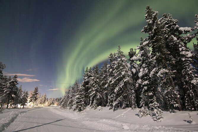 Guided Northern Lights Tour at Kiruna - Authentic Experiences and Tips from Reviews