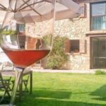 Guided Olive Oil & Wine Tour From Padua - Exploring the Heart of the Euganean Hills