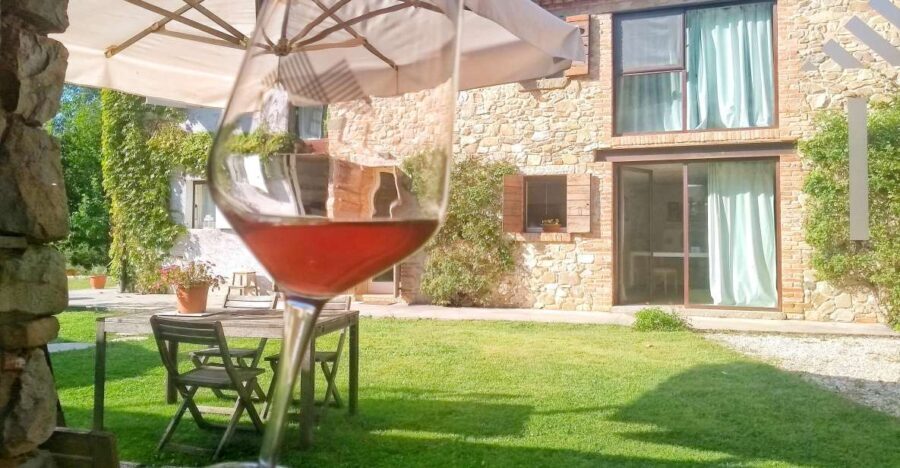 Guided Olive Oil & Wine Tour From Padua - Exploring the Heart of the Euganean Hills