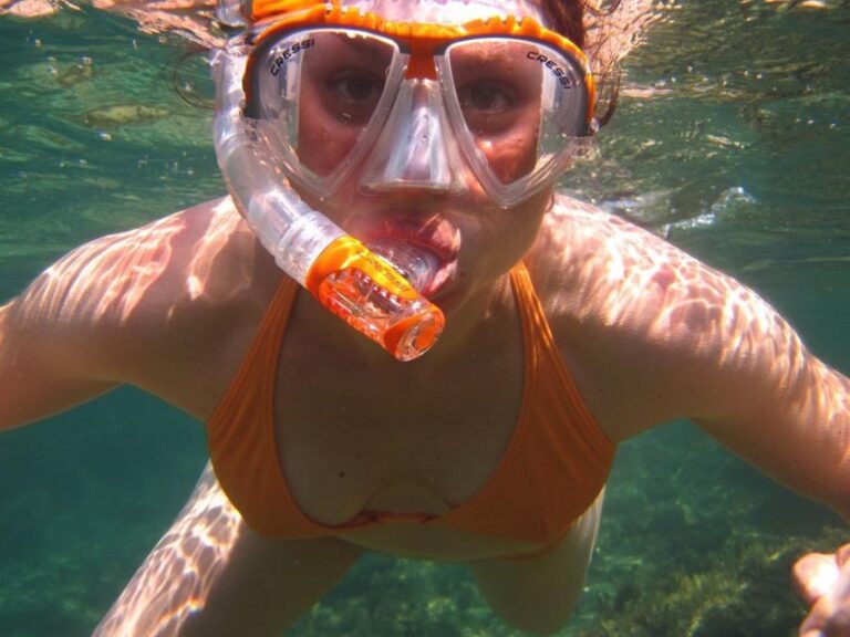 Guided Snorkeling Experience - What Participants Say