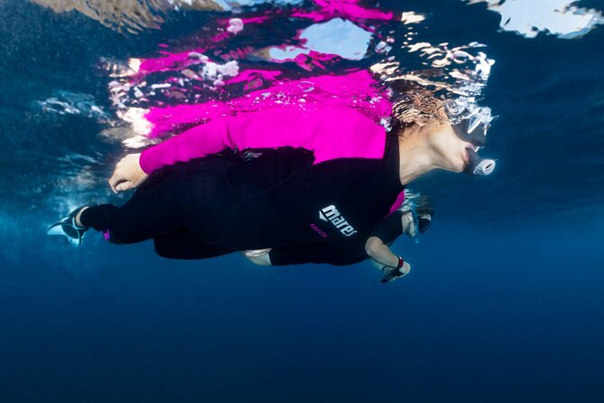Guided snorkeling in the Portofino Marine Protected Area - Key Points
