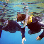 Guided Snorkelling experience in south of Gran Canaria - The Itinerary Breakdown