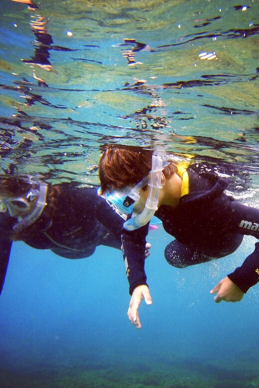 Guided Snorkelling experience in south of Gran Canaria - The Itinerary Breakdown