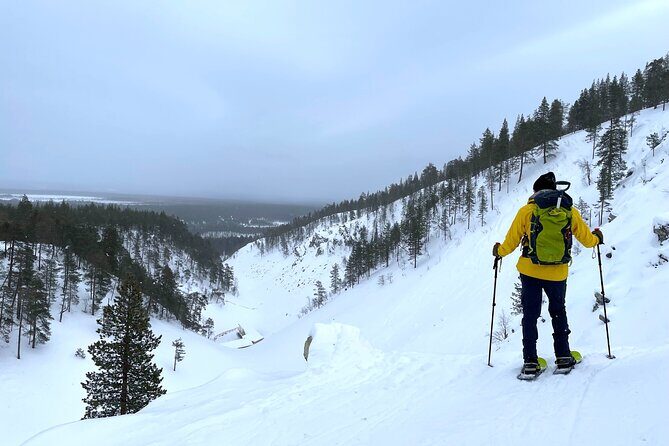 Guided Snowshoeing Tour In Pyhätunturi - What You’ll Experience on the Snowshoeing Tour