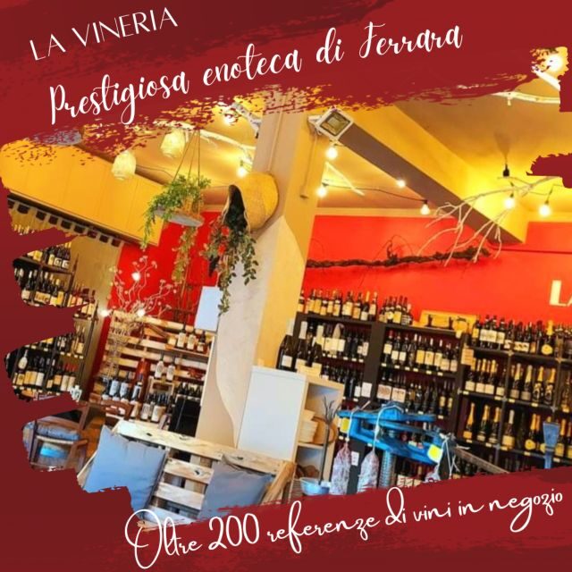 Guided tasting of local wines - What to Expect During the Tour