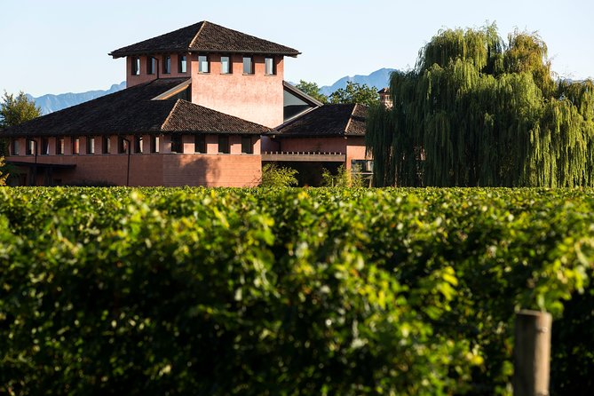 Guided tasting with our team - Exploring a Private Wine Tasting in Friuli-Venezia Giulia: A Genuine Experience
