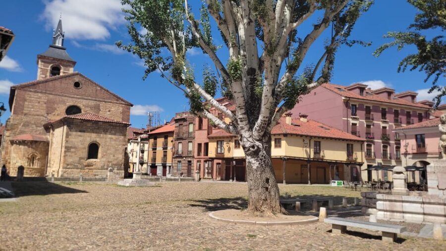 Guided tour around León - What You Can Expect from the León Guided Tour