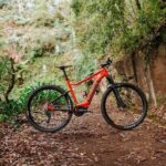 Guided Tour Electric Mountain Bike Experience - An In-Depth Look at the Guided Electric Mountain Bike Experience