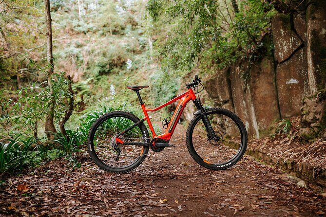 Guided Tour Electric Mountain Bike Experience - An In-Depth Look at the Guided Electric Mountain Bike Experience