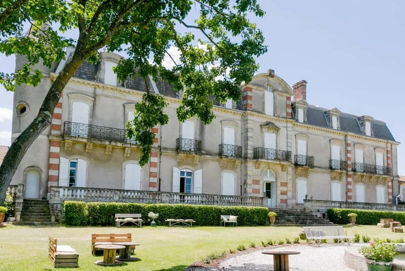 Guided tour from vine to glass - A Detailed Look at What the Tour Offers