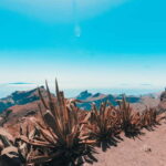 Guided tour guide through Roques de Garcia - Teide National Park - Highlights of the Tour