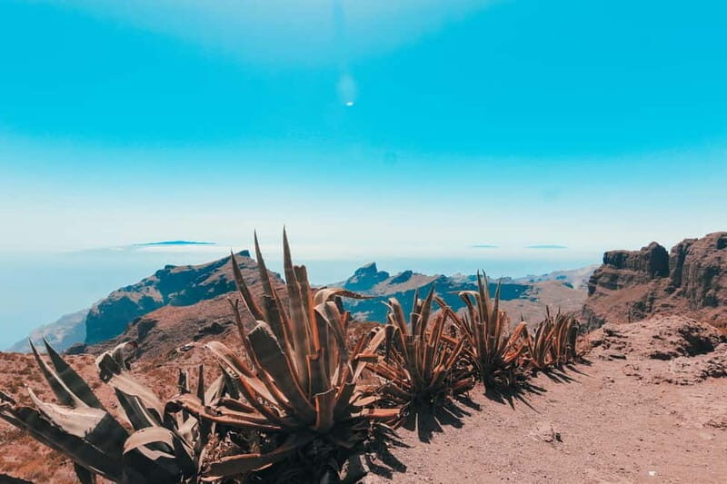 Guided tour guide through Roques de Garcia - Teide National Park - Highlights of the Tour