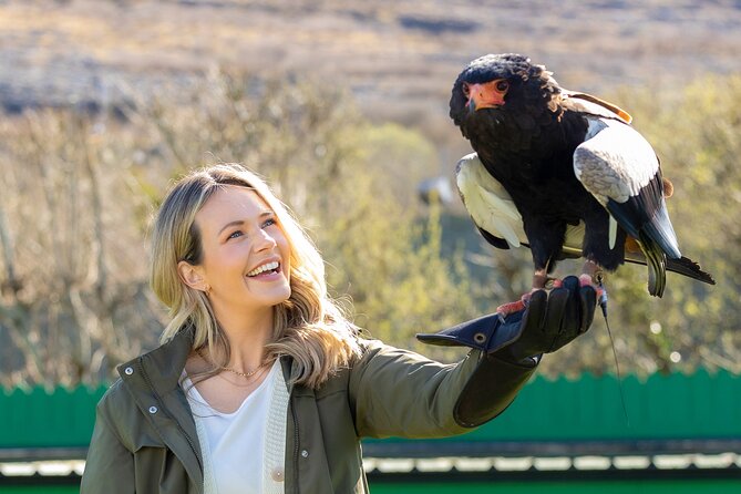 Guided Tour of Aillwee Cave and Visit to the Birds of Prey Centre - Key Points
