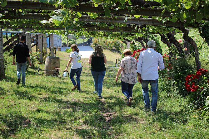 Guided tour of Bodegas Granbazán - Key Points