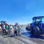 Guided tour of Cancale's oyster beds - Exploring the Cancale Oyster Bed Tour in Detail