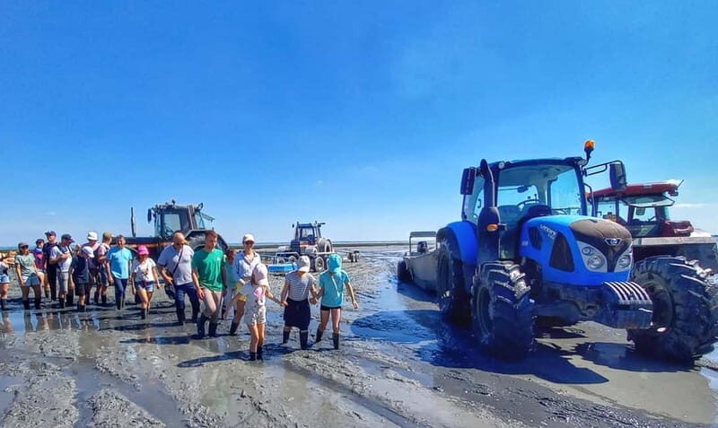 Guided tour of Cancale's oyster beds - Exploring the Cancale Oyster Bed Tour in Detail