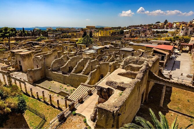 Guided Tour of Herculaneum with Lunch and Ticket Included - Key Points