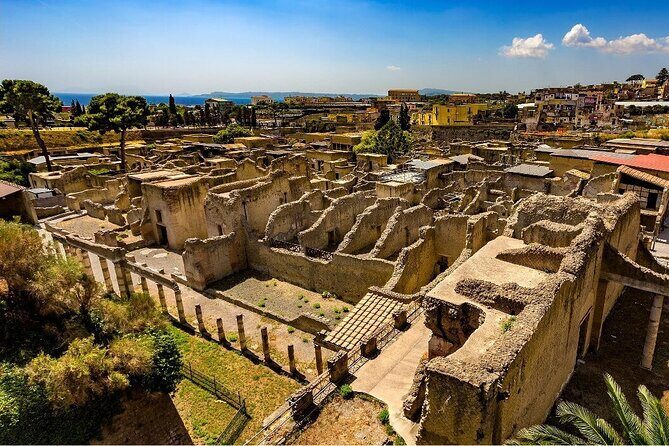 Guided tour of Hercunaleum with light lunch and entrance ticket - The Value of Guided Visits and Extra Experiences