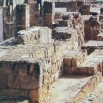 Guided tour of Medina Azahara in Spanish without Bus. Official Guides - What Past Travelers Say