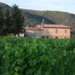 Guided tour of our Brunello vineyards with tasting. - What You Can Expect During the Tour