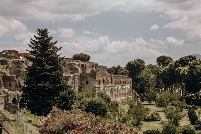 Guided Tour of Pompei, Lunch and Wine from Sorrento - Practical Details and Tips