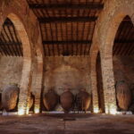 Guided tour of the Cella Vinaria Antiqua Wine Cellar Museum - Final Thoughts: Who Will Love This Tour?