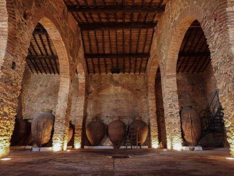 Guided tour of the Cella Vinaria Antiqua Wine Cellar Museum - Final Thoughts: Who Will Love This Tour?