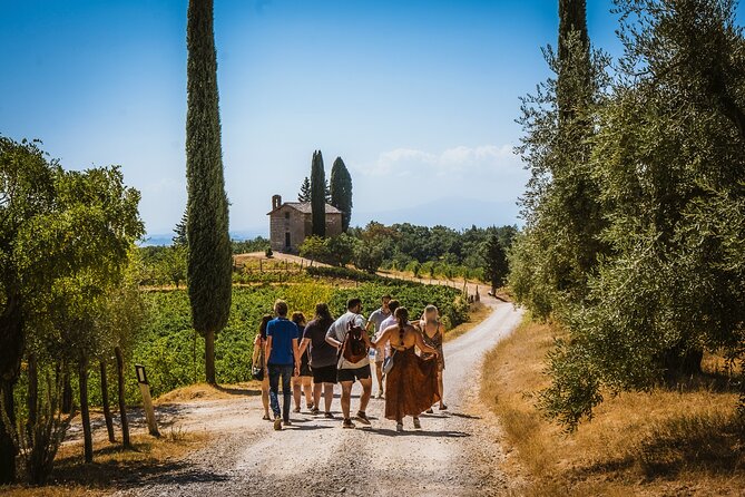 Guided tour of the cellars with wine tasting and lunch - The Tasting and Lunch: Savoring the Flavors of Tuscany