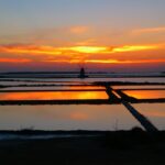 Guided tour of the Marsala Salt Pans and salt harvesting - Detailed Itinerary and Experience Breakdown