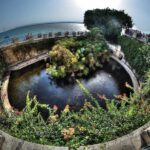 Guided tour of the Neapolis Archaeological Park and Ortigia - Detailed Breakdown of the Sites & Attractions