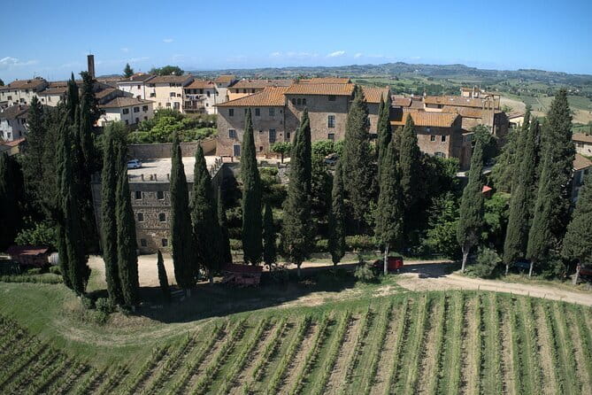 Guided tour with wine tasting and local organic products - Key Points