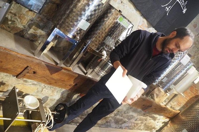 Guided tours of the olive grove with oil tasting. - A Closer Look at the Olive Grove Tour in Montecatini Terme