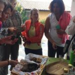 Guided Truffle Hunt Istria - Value and Overall Impression