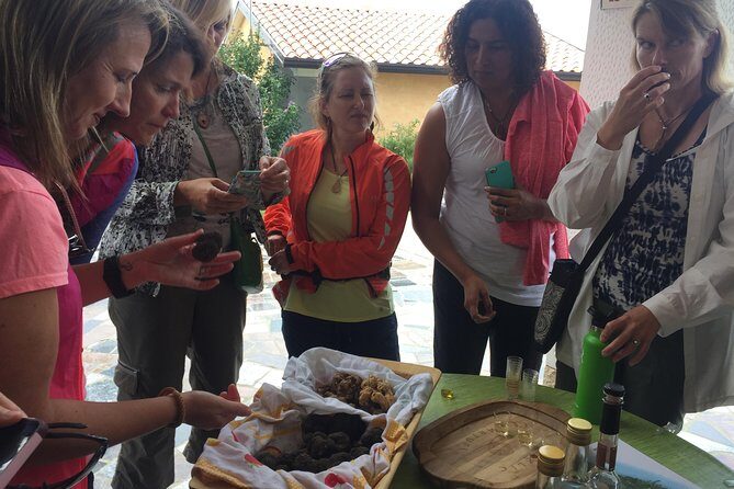 Guided Truffle Hunt Istria - Value and Overall Impression