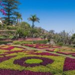 Guided Tuk-Tuk Tour to Botanical Garden (From Funchal) - Who Should Consider This Tour?