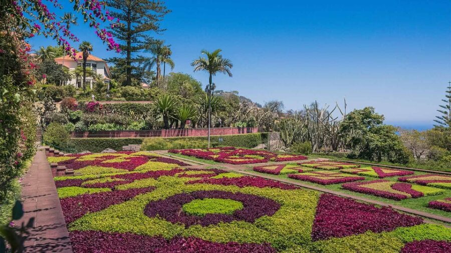 Guided Tuk-Tuk Tour to Botanical Garden (From Funchal) - Who Should Consider This Tour?