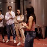 Guided Visit and Wine Tasting at the Winery in Veneto - A Detailed Breakdown of the Tour Itinerary