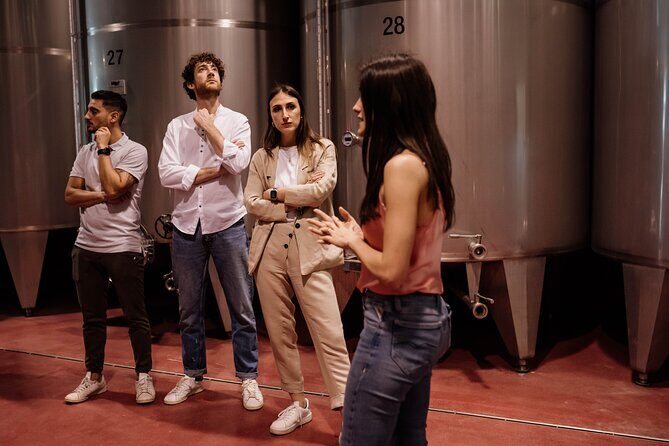 Guided Visit and Wine Tasting at the Winery in Veneto - A Detailed Breakdown of the Tour Itinerary