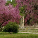 Guided visit to ancient Olympia with an Italian archaeologist tour guide - A Deep Dive into the Olympia Experience