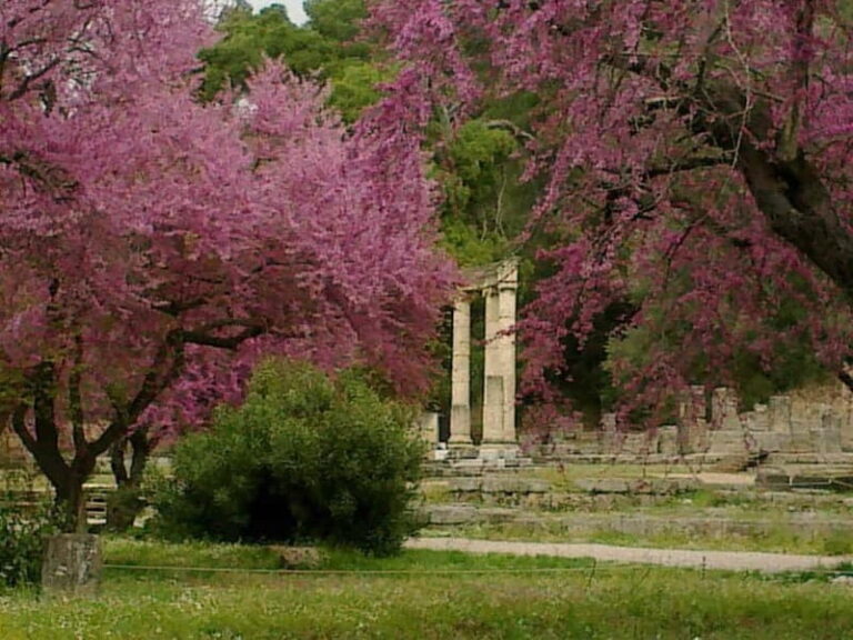Guided visit to ancient Olympia with an Italian archaeologist tour guide - A Deep Dive into the Olympia Experience