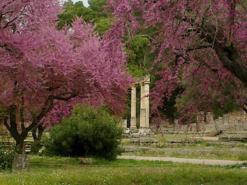 Guided visit to ancient Olympia with an Italian archaeologist tour guide - A Deep Dive into the Olympia Experience