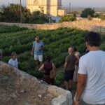 Guided visit to the Medieval Gardens of Ostuni - Experience Quality and Value